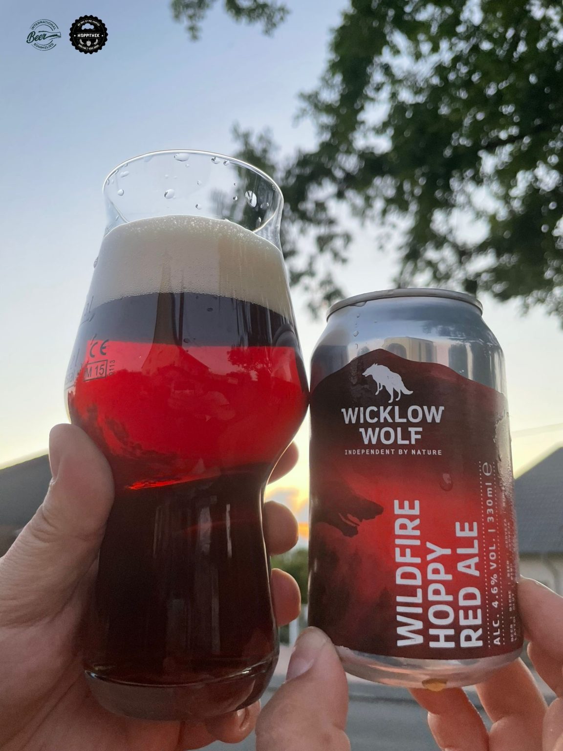 Wicklow Wolf - Wildfire Hoppy Red Ale - HoppiThek GbR Biertasting Bitburg
